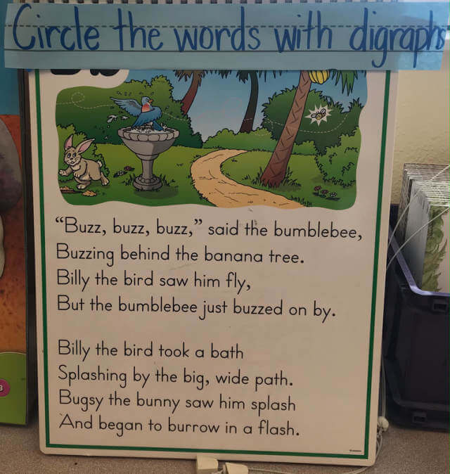 The Four Domains of Language: Reading | TESOL Trainers